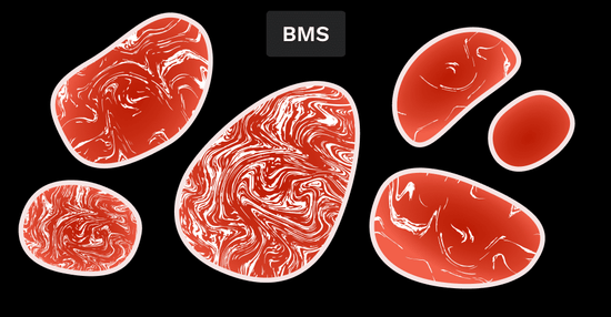 What is Beef Marbling Score (BMS) – Destination Wagyu